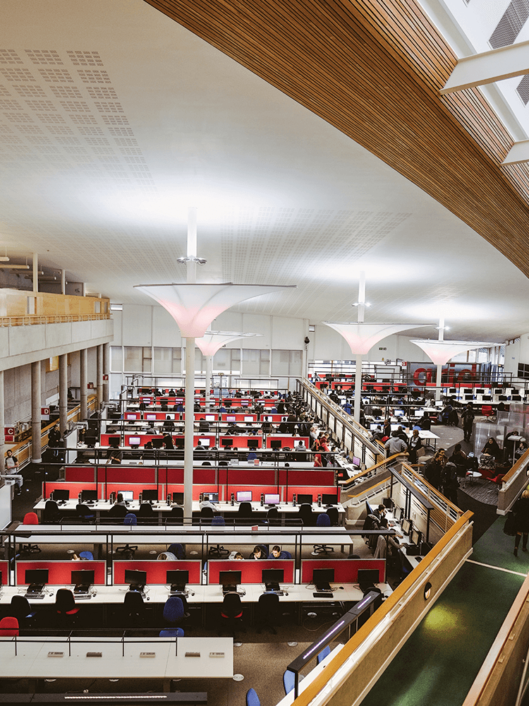 David Bell | The University of Sunderland